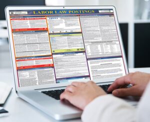 Other Services - Payrolls Plus